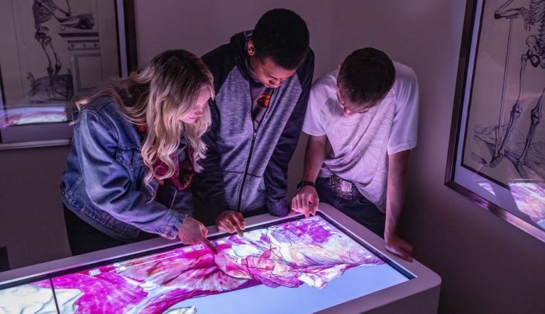 Mid-Valley STEM-CTE Hub - Serving Linn and Benton Counties in Oregon